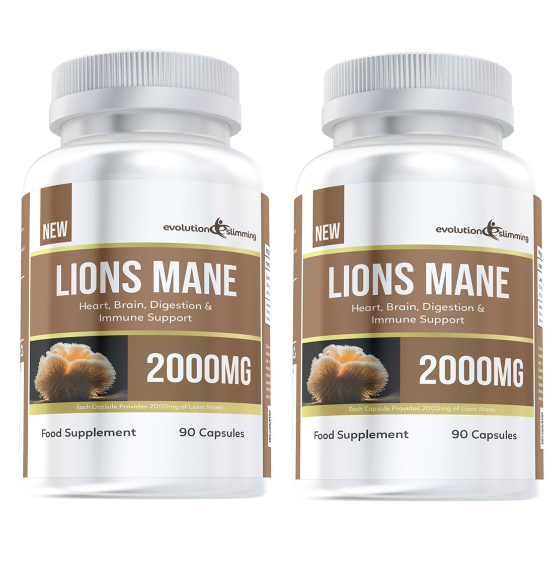 Lions Mane 2000mg (50% polyphenols) — Evolution Slimming